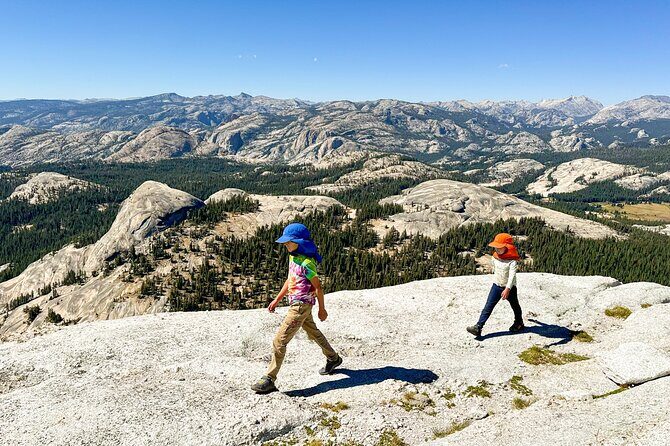 Wonders of Yosemite: Kid Friendly Private Tour - An In-Depth Look at the Experience