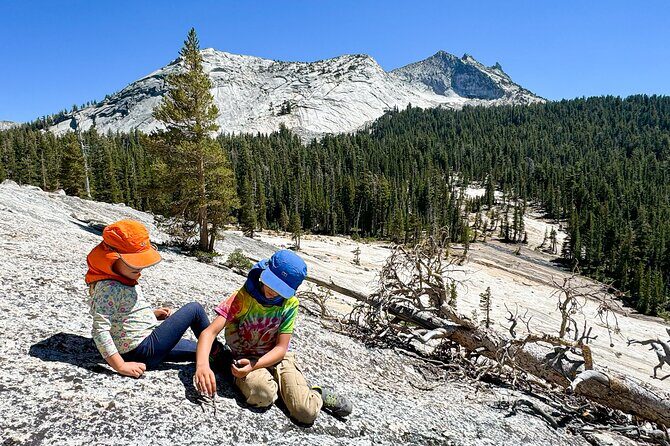 Wonders of Yosemite: Kid Friendly Private Tour - The Sum Up