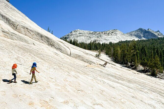 Wonders of Yosemite: Kid Friendly Private Tour - Frequently Asked Questions