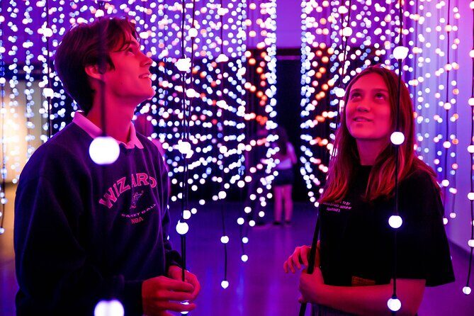 Wonderspaces Austin Admission - The Itinerary Breakdown: What to Expect