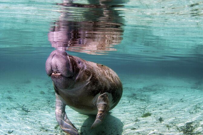 Wondrous Wildlife @ River Wonders + Roundtrip Transfers - A Detailed Look at What the Tour Offers