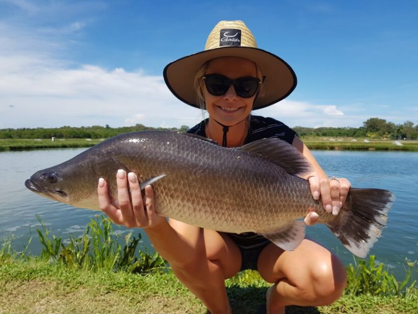 Wonga Beach: Hook-A-Barra Fishing Experience - Key Points