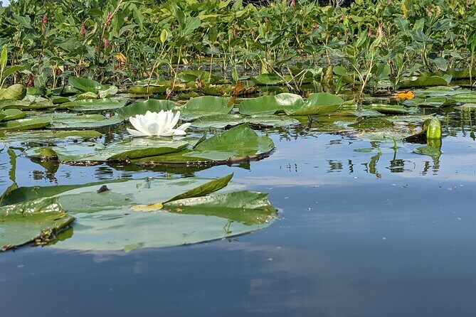 Wood & Wetlands River Trip - FAQ