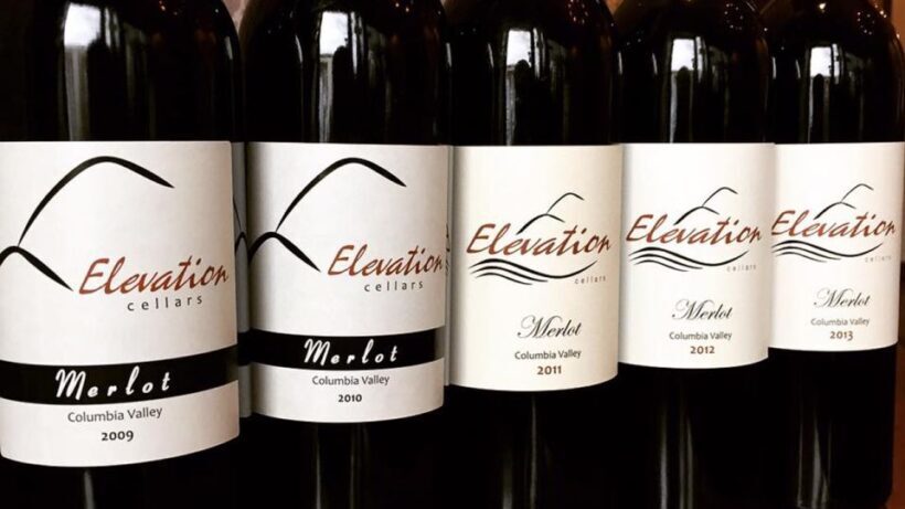 Woodinville Wine Country: Warehouse District Wine Pass - Who Will Love This Experience?