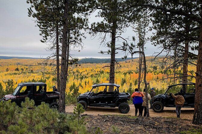 Woodland Park: 2 Hour Guided Wildlife Sunset UTV Tour - You Drive - The Sum Up: Is It Worth It?