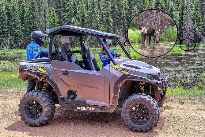 Woodland Park: 4-Hour Self-Guided Mountain UTV Tour - You Drive - The Sum Up
