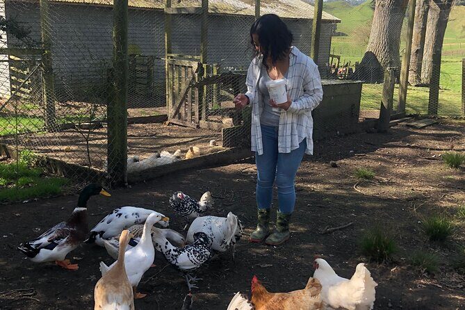 Wool Sheep Farm Experience with Handmade Wool Hat in New Zealand - A Closer Look at the Experience