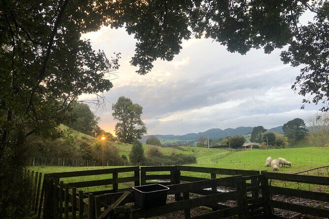 Wool Sheep Farm Experience with Handmade Wool Hat in New Zealand - Who Should Book This Tour?