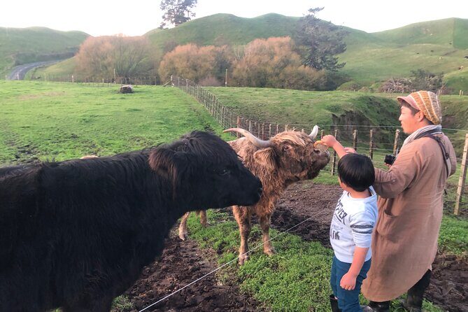 Wool Sheep Farm Experience with Handmade Wool Hat in New Zealand - The Sum Up