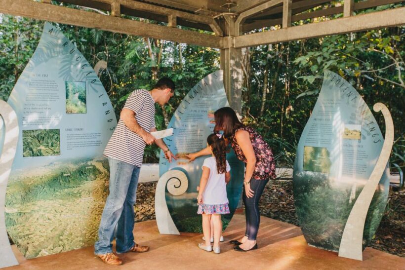 Wooroonooran National Park: Mamu Tropical Skywalk Admission - The Journey Begins: The Forest Walk