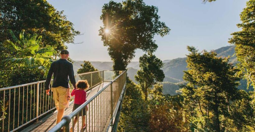 Wooroonooran National Park: Mamu Tropical Skywalk Admission - The Skywalk: A Meandering Path Through the Canopy