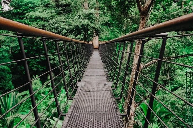 World A+ (Zipline 32 Platforms + Roller + Sky Walk with World Set Menu ) - Is It Right for You?