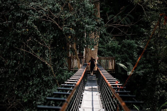 World B+ (Zipline 18 Platforms + Roller + Sky Walk with World Set Menu ) - The Sum Up