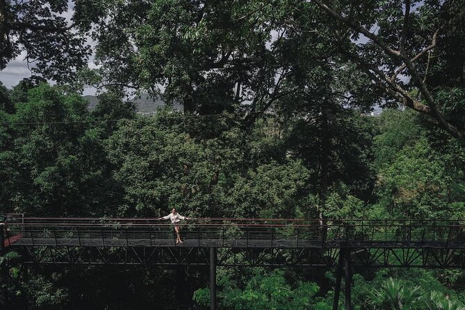 World C+ (Ziplines 10 Platforms + Roller + Sky Walk and World Set Menu ) - The Balance of Value and Safety