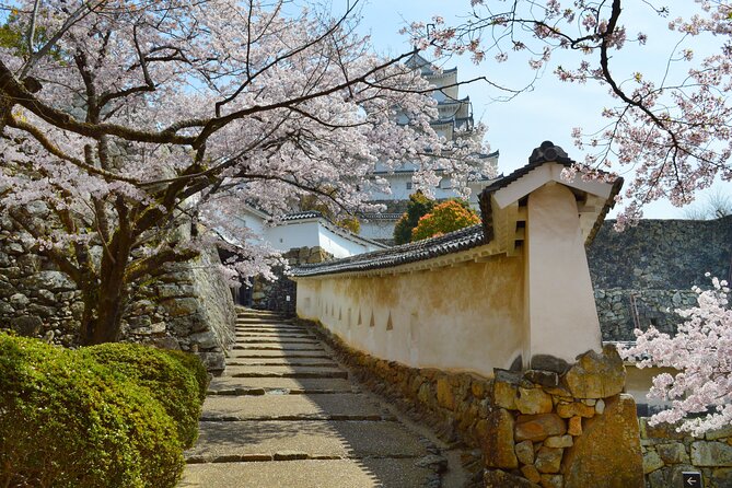 World Heritage Himeji Castle & Sake Breweries Private Tour - Positive Customer Feedback and Experiences