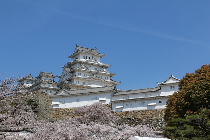 World Heritage Himeji Castle & Sake Breweries Private Tour - Host Responses and Improvements