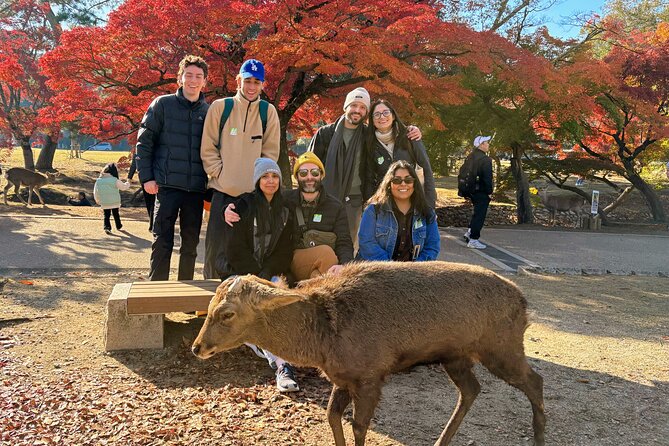 World Heritage Kyoto & Nara Uji Authentic Matcha Experience - Tour Details