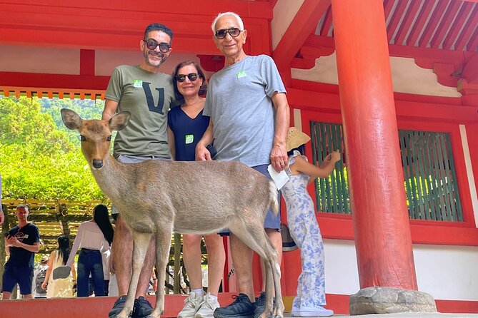 World Heritage Kyoto & Nara Uji Authentic Matcha Experience - Heijo Palace and Todaiji Temple