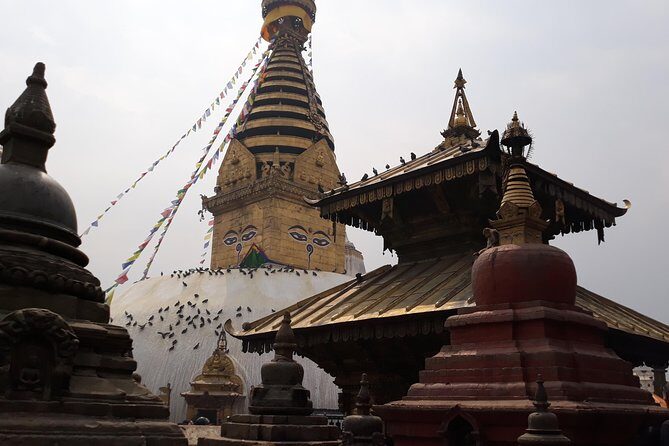 World Heritage Sites and Wildlife - Returning to Kathmandu and Cultural Deep Dive
