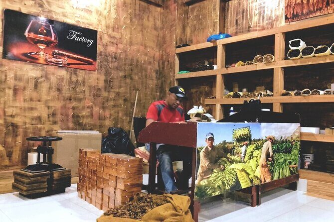 World Mart Souvenirs Store - Free Pick-up / Drop-off - A Guide to the Bella Mare Souvenirs Store Tour in Punta Cana