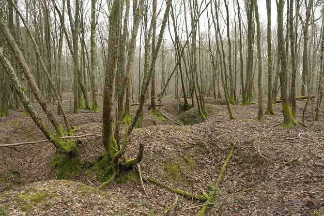 World War 1 Walk Through Trenches and Bunkers - The Sum Up