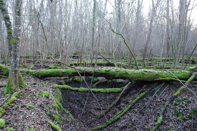 World War 1 Walk Through Trenches and Bunkers - FAQ