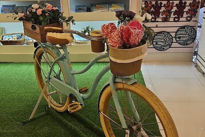 Worldmart Souvenirs Punta Cana (Round trip transportation) - Who Will Love This Tour?