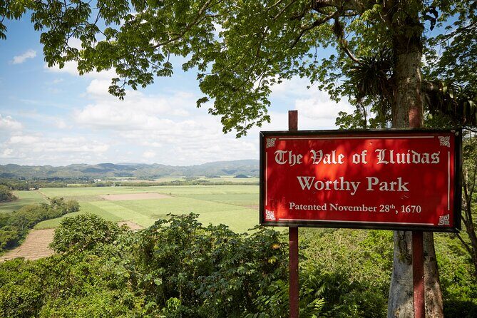 Worthy Park Estate Rum Tour from Ocho Rios - Tasting and Shopping: The Real Flavor of Jamaica