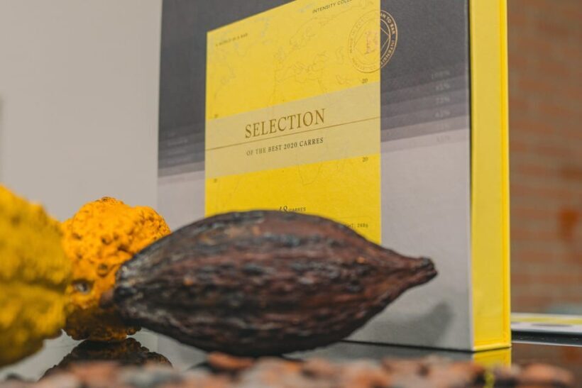 WOW Porto: Chocolate and Port Wine Pairing Workshop - What to Expect from the Workshop