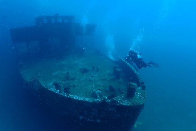 Wreck and Bridge Span Dive for Certified Divers - Key Points