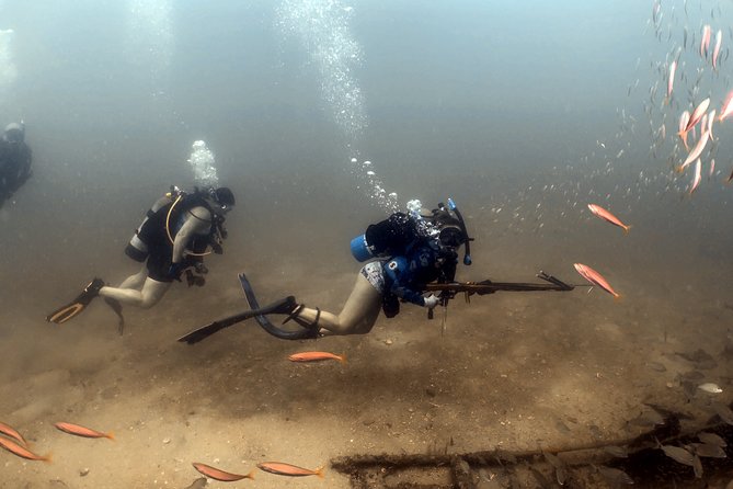 Wreck and Bridge Span Dive for Certified Divers - Final Thoughts