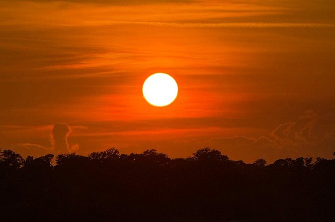 Wrightsville Beach Sunset Dolphin Tour - The Sum Up