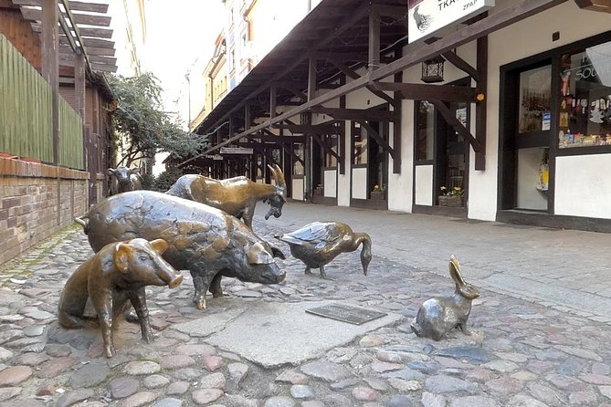 Wroclaw Old Town Private Tour - Practical Tips for Your Tour