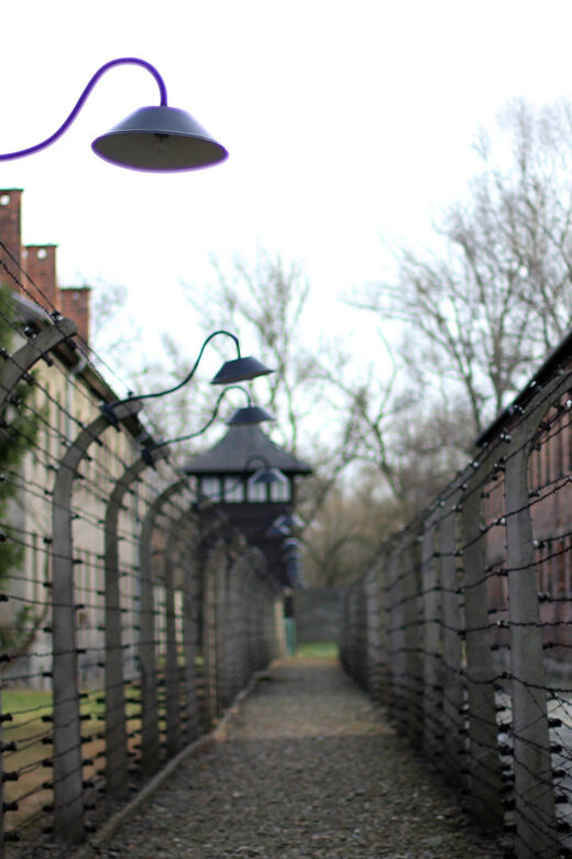 Wroclaw to Auschwitz-Birkenau Private Full-Day Trip by Car - Visiting Auschwitz-Birkenau: What You’ll See and Experience
