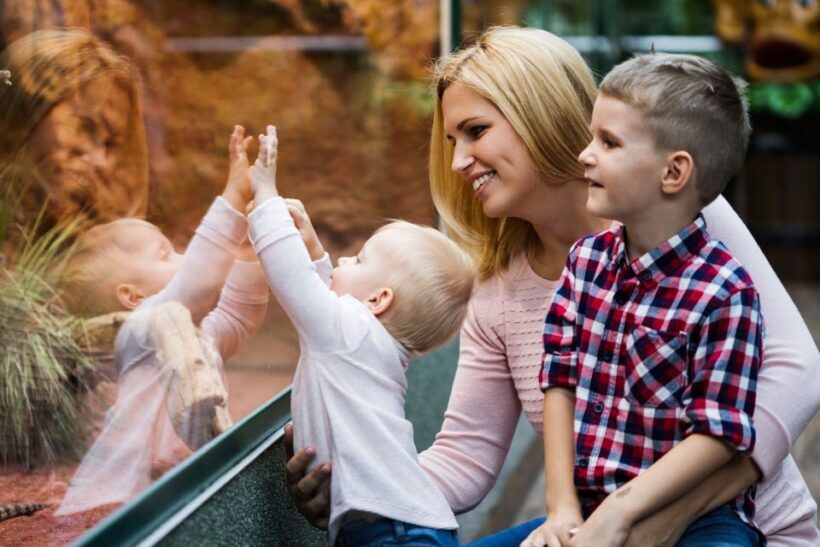Wroclaw: Zoo with Private Transport and Tickets - The Comfort of Private Transport and the Convenience of Skip-the-Line Tickets