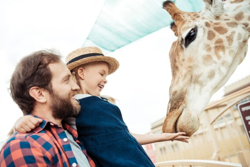 Wroclaw: Zoo with Private Transport and Tickets - What Travelers Say: Authentic Perspectives