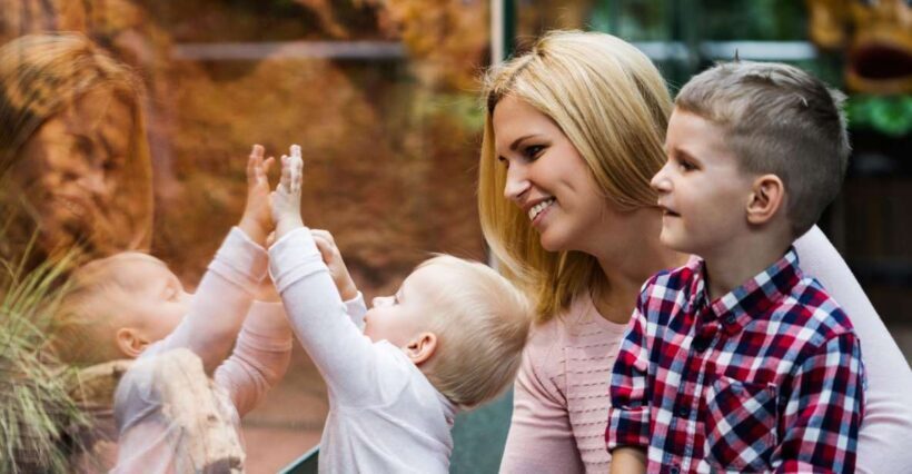Wroclaw: Zoo with Private Transport and Tickets - FAQ