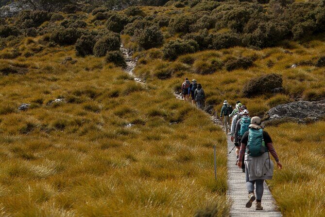 wulinantikala / Cradle Mountain Hiking Tour - 4 Days - An In-Depth Look at the Cradle Mountain 4-Day Tour