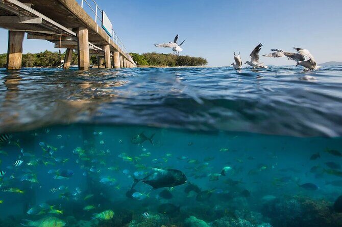 Wunyami Cultural Tour on Green Island's Eco Adventure - The Sum Up: Who Should Book This Tour?
