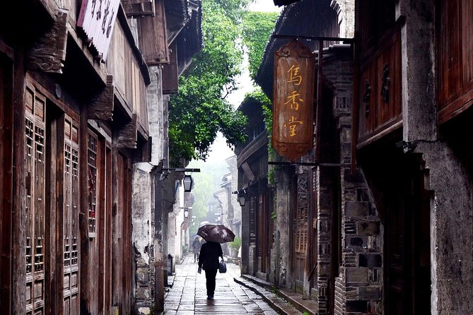Wuzhen and Xitang Water Town Private Full Day Trip from Shanghai with Lunch and Dinner - Introduction: An Authentic Day Out from Shanghai