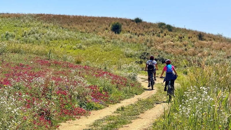 WWF E-BIKE TOUR | Riserva Naturale di Torre Salsa Con pranzo - Key Points