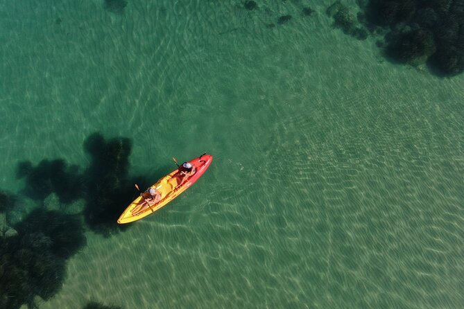 WWF Kayak Tour From Cala Manbrù to Torre Salsa Reserve - Inclusions and Amenities