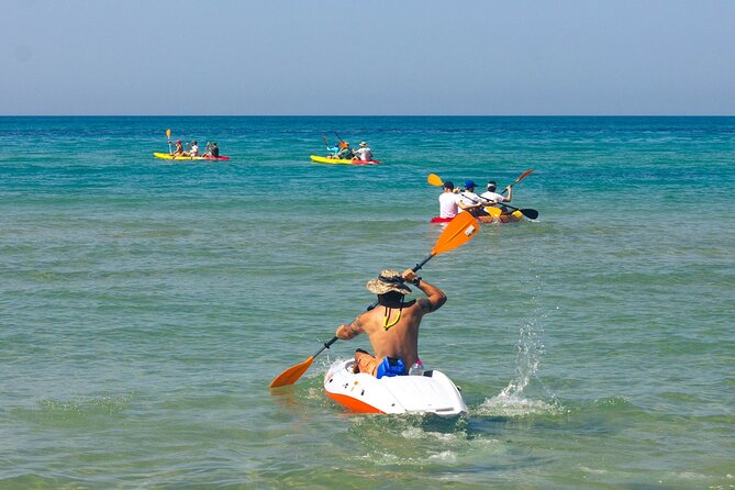 WWF Kayak Tour From Cala Manbrù to Torre Salsa Reserve - Highlights of the Experience