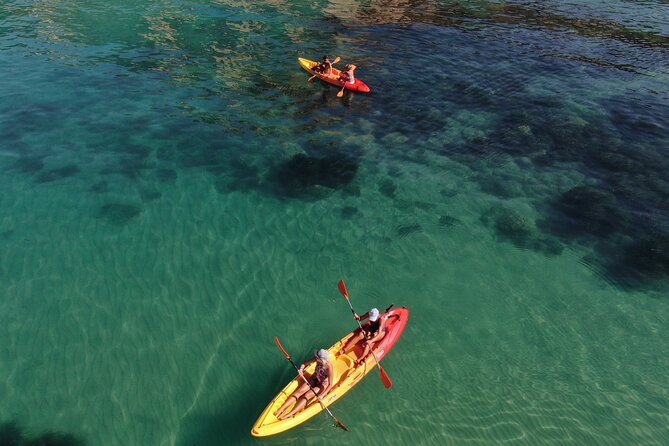 WWF Kayak Tour From Cala Manbrù to Torre Salsa Reserve - Exploring Rock Formations and Wildlife