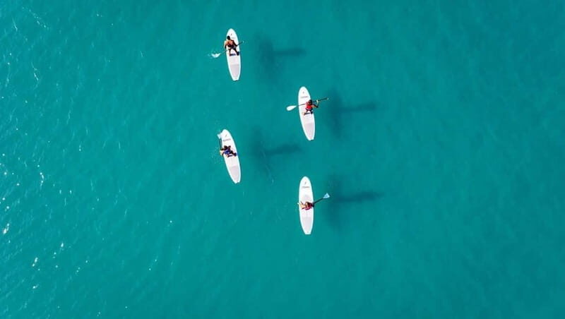 WWF TOUR alla Riserva Naturale di Torre Salsa in SUP - Authentic Insights from Reviews