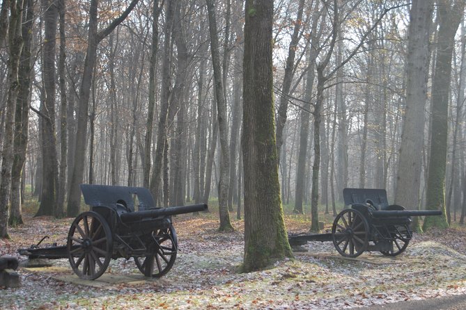 WWI Belleau Wood & Meaux Museum of the Great War Private Day Trip From Paris - Tour Logistics and Details