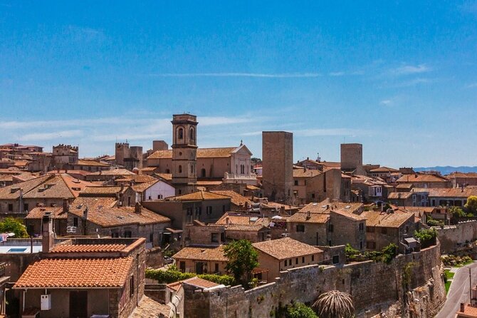 WWII Anzio and Surroundings Veteran Private Tour - FAQ