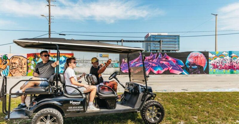 Wynwood Art District 1-Hour Street Art Tour by Golf Cart - The Guide’s Role