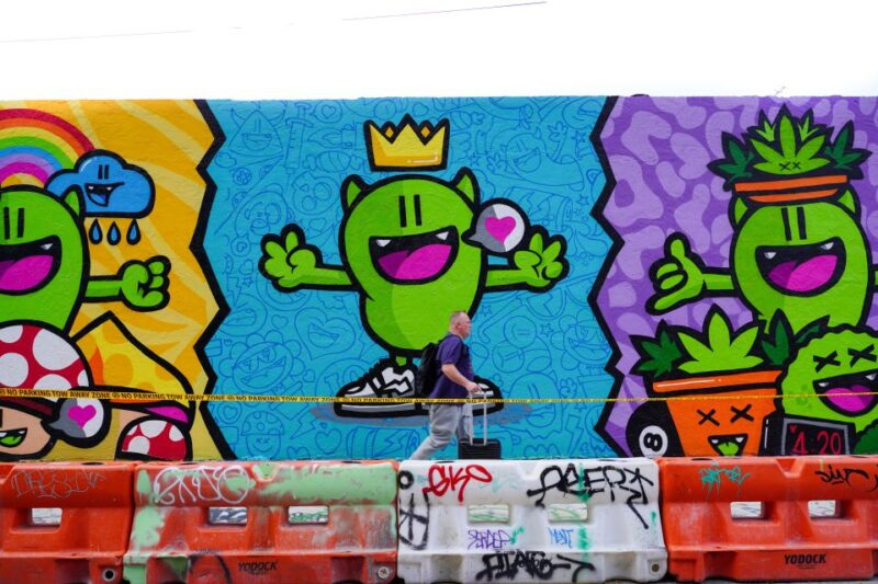 Wynwood Art District 1-Hour Wynwood Buggies Street Art Tour - Comfort and Convenience: What’s Included