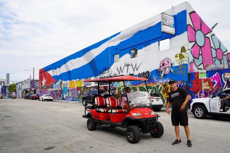 Wynwood Art District 1-Hour Wynwood Buggies Street Art Tour - Who Should Consider This Tour?